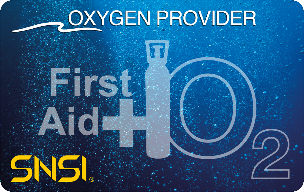 5.05 BLS-D First Aid 와 산소 공급자(Oxygen Provider) – SNSI Education – KR